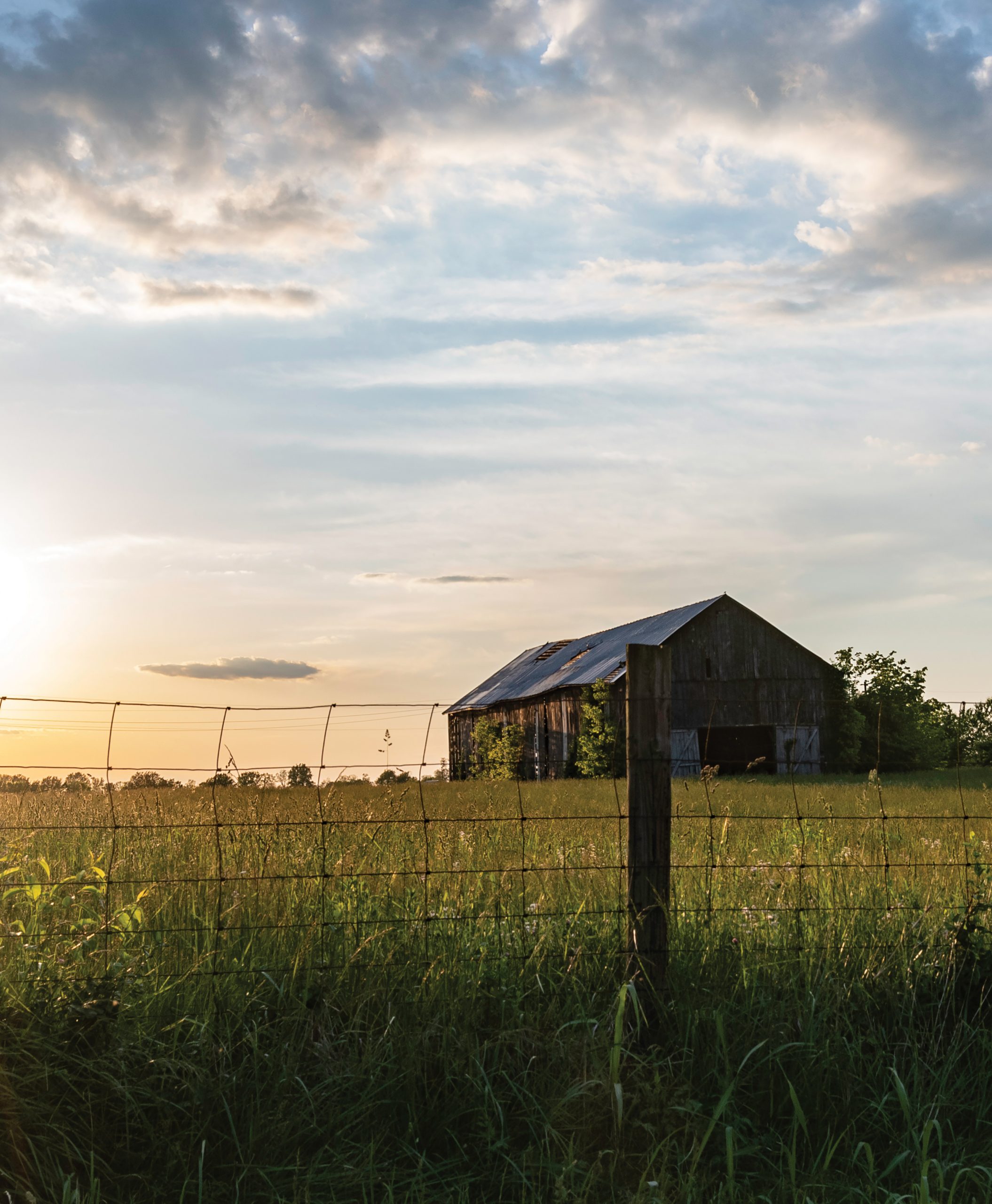 Summers at Mini and Papa’s Virginia Farm – Cappers Farmer